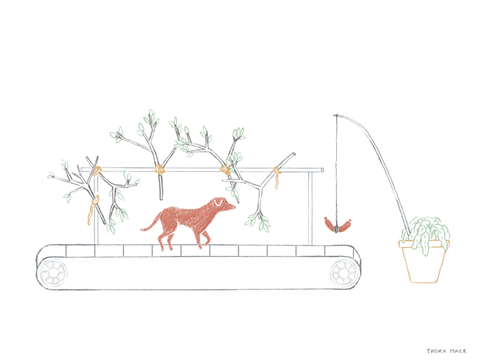 Stupid Invention GIFs - Get the best GIF on GIPHY