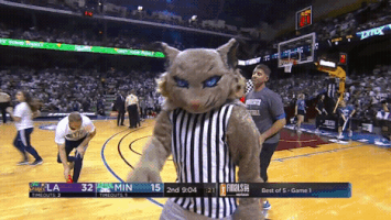 Minnesota Lynx Mascot GIFs - Find & Share on GIPHY