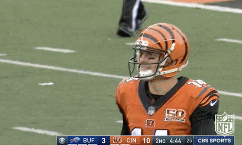 - Find & Share on GIPHY