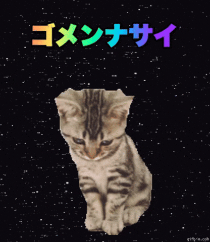 Cat Sorry GIFs - Find & Share on GIPHY