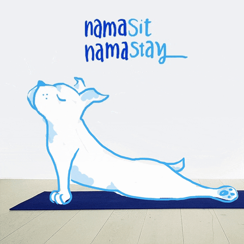 Samsung-unpacked GIFs - Get the best GIF on GIPHY