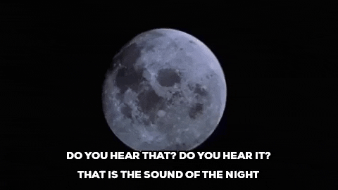 Sounds-of-the-night GIFs - Get the best GIF on GIPHY