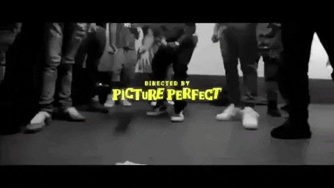 Picture-perfect GIFs - Get the best GIF on GIPHY