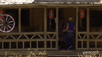 The-cabin GIFs - Get the best GIF on GIPHY