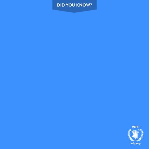 World-food-programme GIFs - Get the best GIF on GIPHY