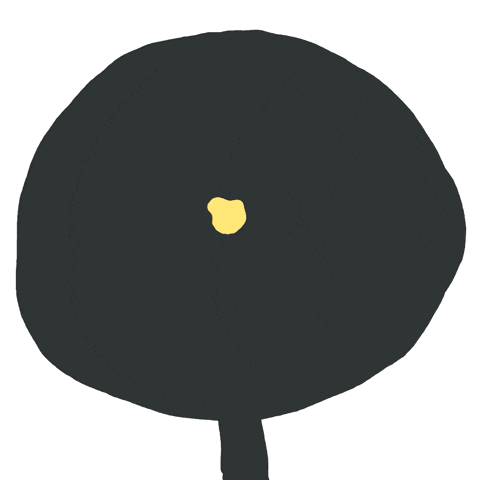 Pan GIFs - Get the best GIF on GIPHY