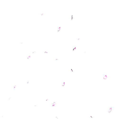 Pink Effect Sticker by Arata for iOS & Android | GIPHY