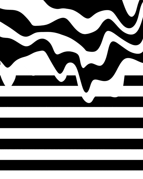 Zebra-pattern GIFs - Get the best GIF on GIPHY