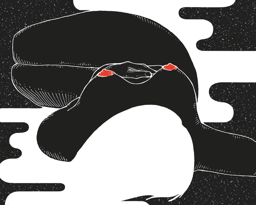 Female Body GIFs - Get the best GIF on GIPHY