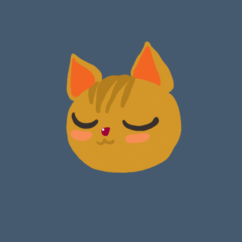 Headlight-protection GIFs - Get the best GIF on GIPHY