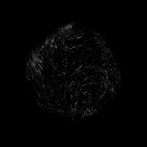 Black And White Animation By Alastair Gray Find And Share On Giphy