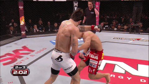 Animated GIF - Find & Share on GIPHY