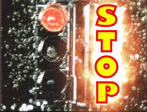 Stop-light GIFs - Get the best GIF on GIPHY