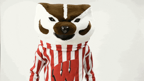 Wisconsin Badgers GIF by uwmadison - Find & Share on GIPHY