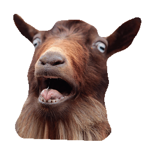 Excited Omg Sticker By Imoji For Ios And Android Giphy