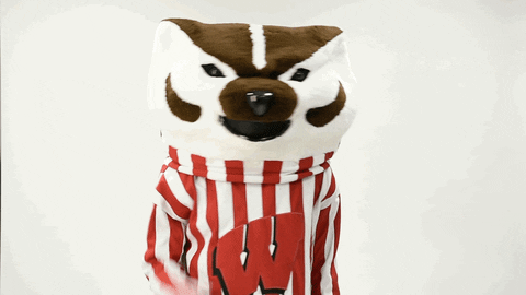 Wisconsin Badgers GIF by uwmadison - Find & Share on GIPHY