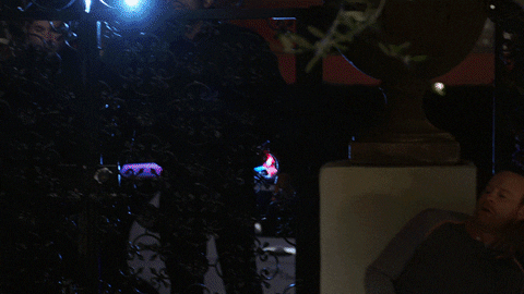 Hiding-from-cops GIFs - Get the best GIF on GIPHY