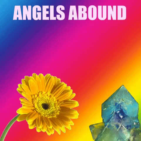 Abound GIFs - Get the best GIF on GIPHY