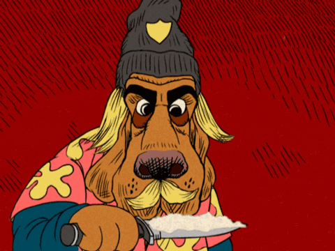 Mtv Animation GIF by Augenblick Studios - Find & Share on GIPHY