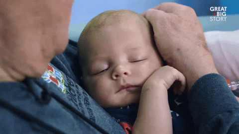 Baby Love GIF by Great Big Story - Find & Share on GIPHY