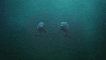 Body Of Water GIFs on GIPHY - Be Animated