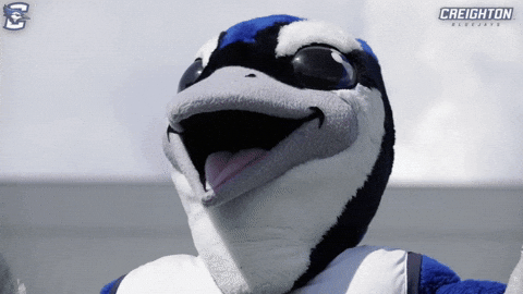 Bluejay GIFs - Get the best GIF on GIPHY