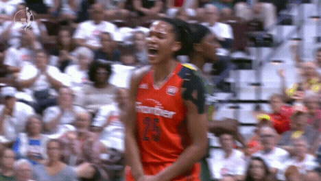 The WNBA Playoffs Are Here! by Sports GIFs | GIPHY