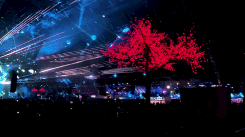 Music Festival Dance GIF by Insomniac Events - Find & Share on GIPHY