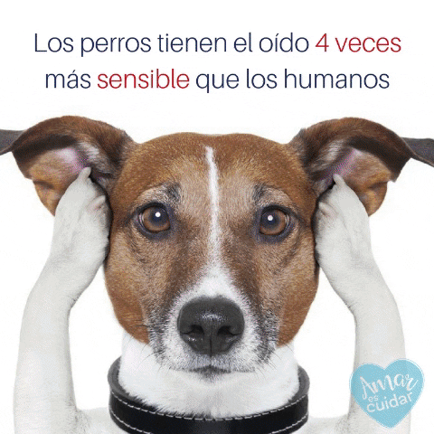 Perdido Por Perdido GIFs - Get the best GIF on GIPHY