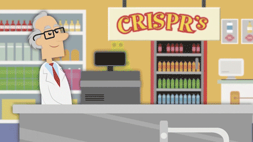 Genetics Genes GIF by PBS Digital Studios - Find & Share on GIPHY