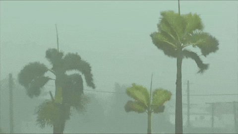 Hurricane Winds Gif