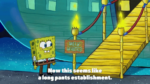 Season 9 GIF by SpongeBob SquarePants - Find & Share on GIPHY