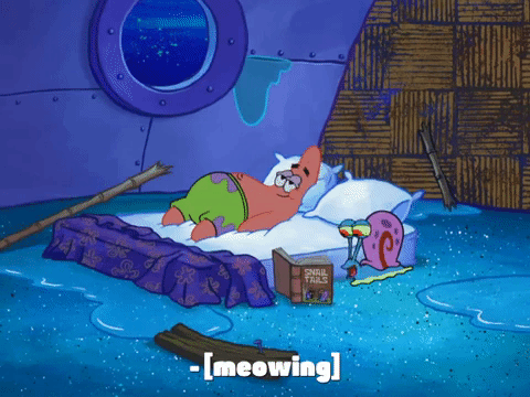 Season 8 Barnacle Face GIF by SpongeBob SquarePants - Find & Share on GIPHY