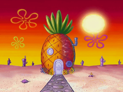 Season 8 Barnacle Face GIF by SpongeBob SquarePants - Find & Share on GIPHY
