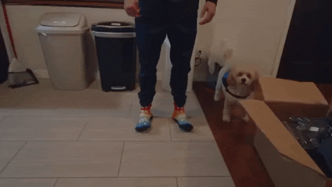 Cool Socks GIFs - Get the best GIF on GIPHY