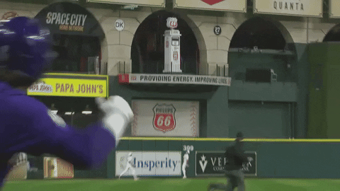 LSU Tigers GIFs on GIPHY - Be Animated