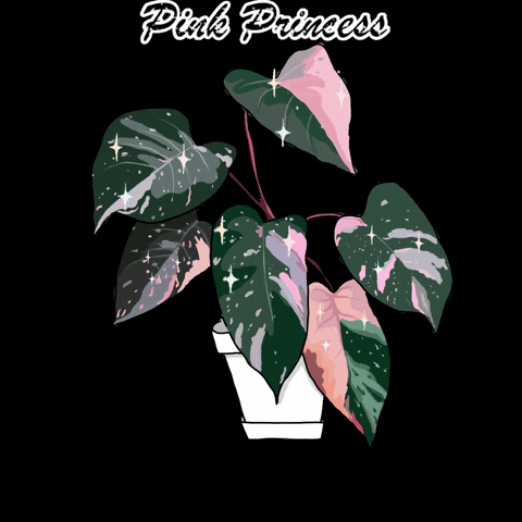 Princess-plant GIFs - Get the best GIF on GIPHY