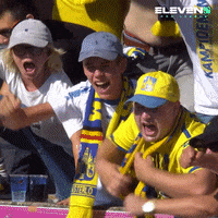 Funny Sports Fan Gifs