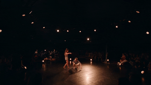 Acrobatics GIF by MagdaClan circo - Find & Share on GIPHY