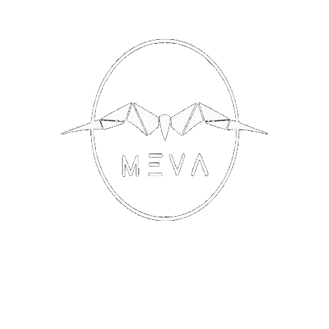 MEVA GIFs on GIPHY - Be Animated