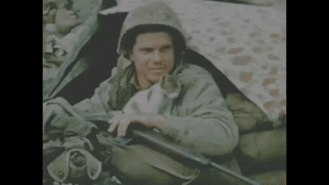 Happy-birthday-marine GIFs - Get the best GIF on GIPHY