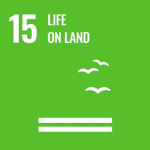 Yorku Sdg15 GIF by York University - Find & Share on GIPHY