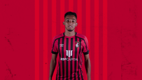 Celebrating Bring It GIF by AFC Bournemouth - Find & Share on GIPHY