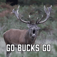Bucks-win GIFs - Get the best GIF on GIPHY
