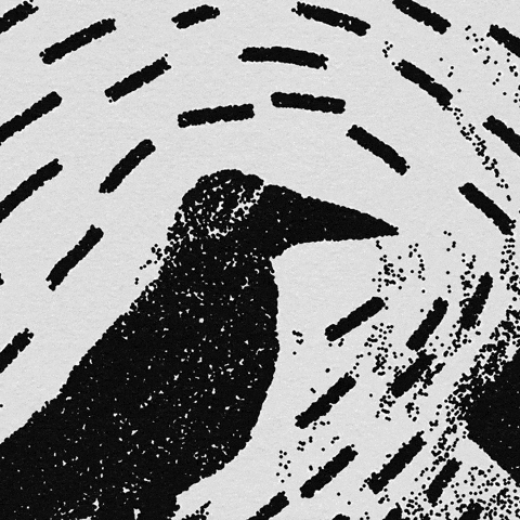 Corbeau GIFs - Get the best GIF on GIPHY