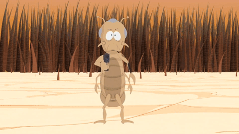 South Park Kelly Lice