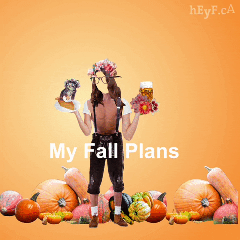 Fall Plans GIFs - Get the best GIF on GIPHY