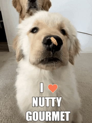 Nutty Gourmet GIFs on GIPHY - Be Animated
