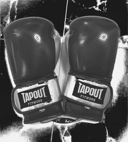 Vehicle-black-box GIFs - Get the best GIF on GIPHY