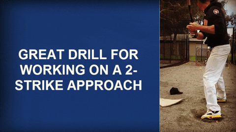 First Pitch Fail GIFs - Get the best GIF on GIPHY